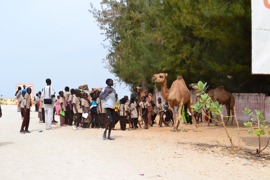 Séjour – VITEL à Lompoul sur Mer